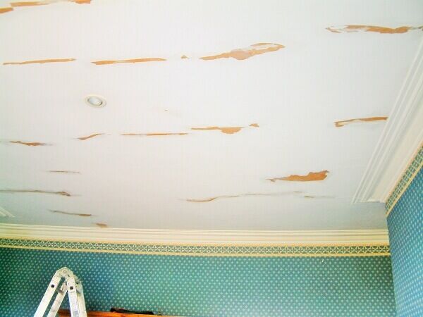 Painted and restored ceiling, cornice and ceiling rose gallery ...